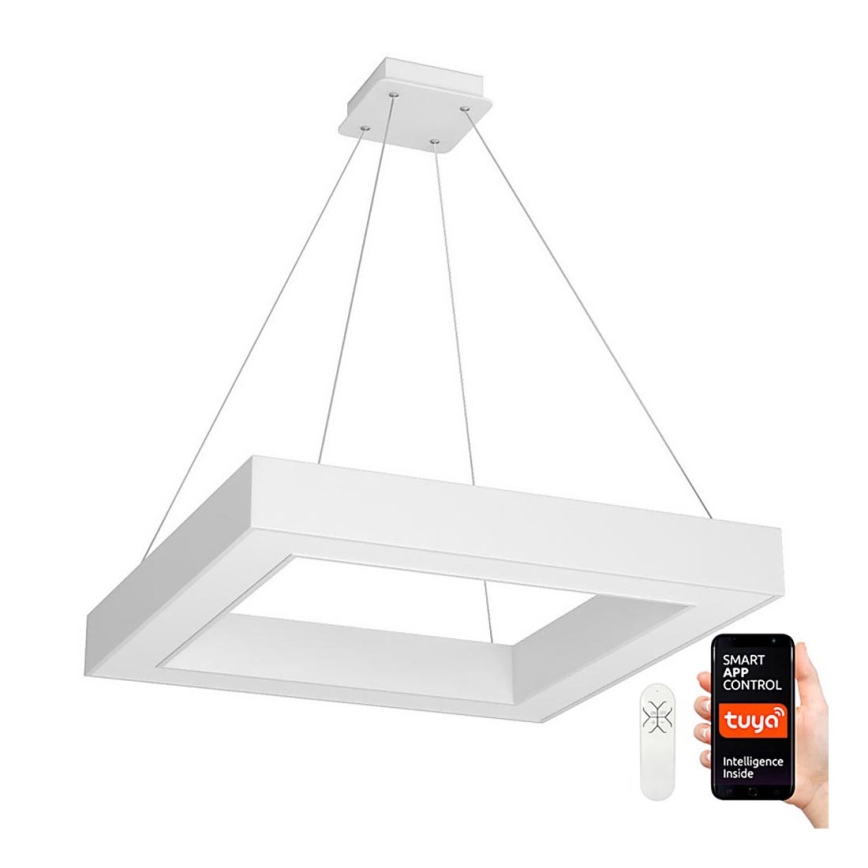 Immax NEO 07071L - LED Stmívatelný lustr na lanku CANTO LED/60W/230V 80x80 cm | Svět svítidel